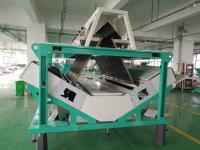 China Wenyao 12 Chute Large Capacity Wheat Color Sorting Machine Automatic Grain Color Sorter for sale