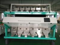 China Wenyao 12 Chute Large Capacity Wheat Color Sorting Machine Automatic Grain Color Sorter for sale