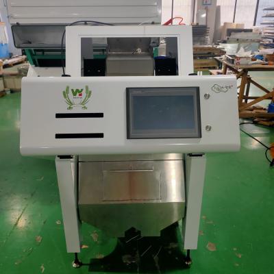 China Wenyao Automatic CCD Camera Color Separation Machine Good Quality Broad Bean Color Sorter for sale