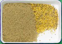 China Wenyao Multifunction Lentil Color Sorter Intelligent Color Sorting Machine For Beans Rice for sale