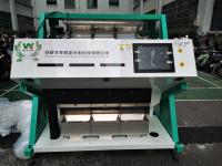 China Newest Technology Cashew Nut Color Sorter Ccd Cashew Nut Colour Sorter Machine for sale