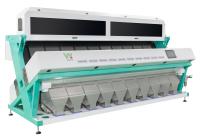 China Wenyao 10 Chute Sesame Color Sorter Equipment Multifunction Grain Color Sorting Machine for sale