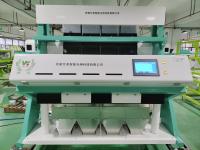 China Wenyao Chinese Factory Direct Sale 4 Chute Flax Seeds Color Sorter Seeds Color Sorting Machine for sale