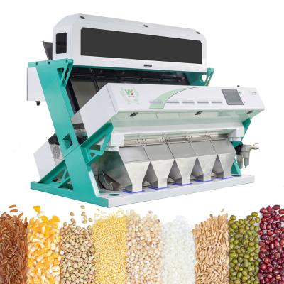 China Wenyao Green Lentils Color Sorter Processing Machine CCD Grain Sorter for sale