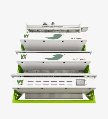 China Wenyao CCD Tea Grading Machine For Sri Lanka Black Tea Sorting for sale