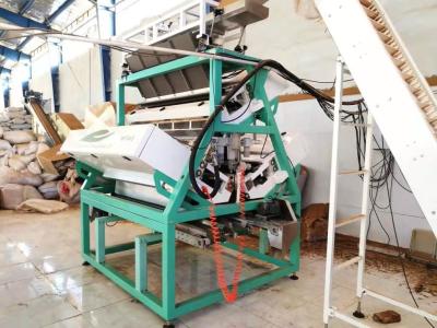 China Wenyao LED Optical Green Tea Sorting Machine , Tea Leaf Processing Equipment for sale