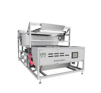 China 1200mm Belt Waterproof Stainless Steel Olive Color Sorting Machine Frozen Strawberry Color Sorter for sale