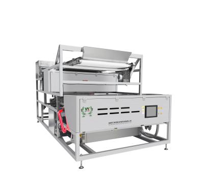 China 1200mm Belt Waterproof Stainless Steel Olive Color Sorting Machine Frozen Strawberry Color Sorter for sale