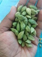 China Wenyao 3 Chute Intelligent Corn Bean Cardamom Color Sorter Machine for sale