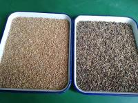 China Intelligent Optical CCD Camera Barley Wheat Color Sorting Machine for sale