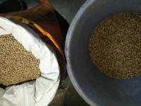 China Wenyao Chinese Factory Direct Sale 4 Chute Soya Bean Color Sorter Machine for sale