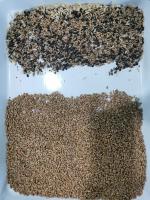 China Wenyao 5 Chute Multifunction Sorghum Corn Maize Wheat Barley Rice Color Sorting Machine for sale