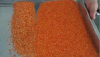 China Wenyao Agricultural Crop Processing Machinery Optical Color Sorter for Lentils Color Separating for sale