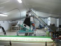 China Optical CCD Camera Plastic Color Sorting MachinePlastic Pet Granules  Flakes  Sorting Machine for sale