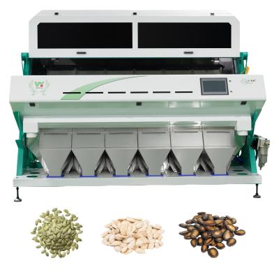 China Wenyao Newest Optical CE Certificate Pumpkin Seeds Watermelon Seeds Color Sorting Machine for sale