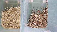 China Wenyao Intelligent Chute Style Nut Shell and Kernel Separating Machine Nut Color Sorter Machine 64 Channels for sale