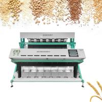 China Wenyao Chinese Factory 7 Chute Style High Technology Grain Sesame Color Sorting Machine for sale