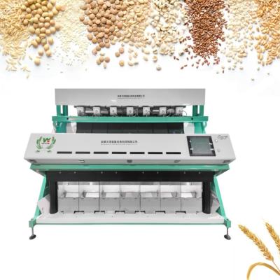 China Wenyao Chinese Factory 7 Chute Style High Technology Grain Sesame Color Sorting Machine for sale