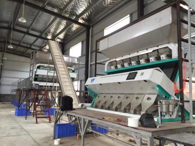 China Automatically 7 Chute Style High Technology AI Roseship Seed Rapeseeds Color Sorter Machine for sale