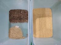 China High Speed Self-Cleaning For Grain Rice Beans Sorting Operations Color Sorting Machine for sale