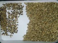 China Weanyao Multifunction Customizable CCD Camera Green and Roasted Coffee Bean Color Sorting Machine for sale
