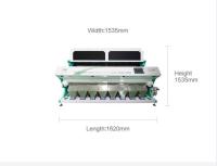 China Wenyao High Sorting Accuracy  Pine Nuts Color Sorter Machine Pistachios Sorting Machine for sale
