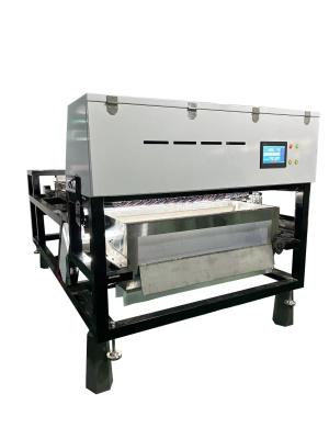 China High Accuracy Coffee Cherry Color Sorter Coffee Color Sorting Machine Coffee Cherry Processing for sale
