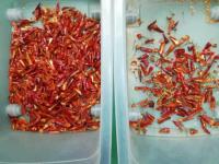 China Wenyao High Efficiency Intelligent with Wifi Remote Control Chili Pepper Color Sorting Machine for sale