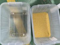 China 2 Channels High Accuracy Peach Gum Grain Color Separator Arabic Olibanum Gum Color Sorting Machine for sale