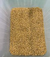 China Wenyao Full Automatic 3 Chute Soya Broad Kidney Bean Color Sorter Machine for sale