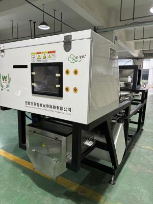 China CCD Camera Optical Garlic Colour Sorting Peeling Garlic Removing Spotted Machine Walnut Garlic Cherry Coffee Color Sorter Machine with CE for sale