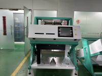 China 2 Chutes Hazelnut Colour Selection Machine From Wenyao for sale