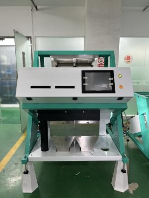 China 2 Chutes Hazelnut Colour Selection Machine From Wenyao for sale