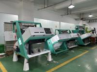 China 2 Chutes Hazelnut Colour Selection Machine From Wenyao for sale