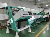 China 2 Chutes Hazelnut Colour Selection Machine From Wenyao for sale