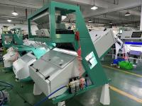 China 2 Chutes Hazelnut Colour Selection Machine From Wenyao for sale