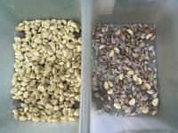 China Simple Operation Belt Mineral Ore Color Separator Machinery Ore Color Sorter for sale