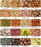 China Accuracy CCD Camera Automatic Macadamia Nut Color Sorting Machine for sale