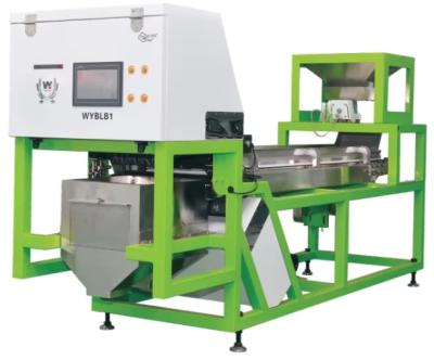 China Wenyao Double Belt High Technology Intelligent CCD Camera Soapberry Color Sorter Machine for sale