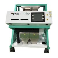 China Wenyao Latest Technology High Sorting Accuracy Coffee Color Sorter Machine for Roasted and Green Coffee Bean for sale