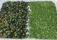 China Wenyao 192 Channel Full-automatic Beans Color Sorter with 99.99% Precision for Nut Rice Corn Wheat for sale