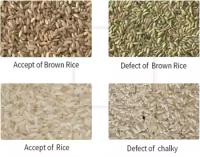 China Color Sorting Machine Rice  Intelligent Parboiled Rice Color Sorter for sale