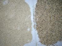 China WENYAO CCD Grain Sorting Machine for Wheat White Sesame Soybean Black Sesame Corn Optical Color Sorter for sale