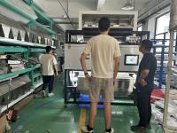 China Optical WYDB4 Soapberry Color Sorting Machine for Soup Pods Color Separator Machine With High Sorting Capacity for sale