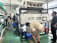 China Optical WYDB4 Soapberry Color Sorting Machine for Soup Pods Color Separator Machine With High Sorting Capacity for sale