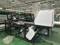 China Optical Color Sorter Peanut Sunflower Seed Walnut Cashew Nut Kabkab Dates Colour Separator Machine for sale