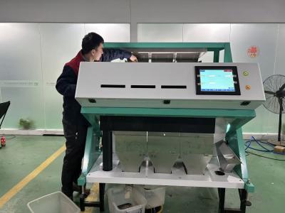 China Wenyao High Capacity Maize Wheat Horse Bean Broad Bean Color Picker Colour Sorter Machine for sale