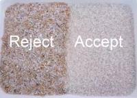 China Parboiled Rice Color Sorting Machine Muti Chutes  Color Sorter  Wheat Color Sorter for sale