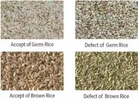 China Parboiled Rice Color Sorting Machine Muti Chutes  Color Sorter  Wheat Color Sorter for sale