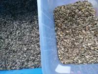 China Parboiled Rice Color Sorting Machine Muti Chutes  Color Sorter  Wheat Color Sorter for sale